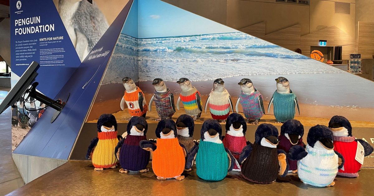 Penguin Foundation • Knits for Nature jumpers - pattern download