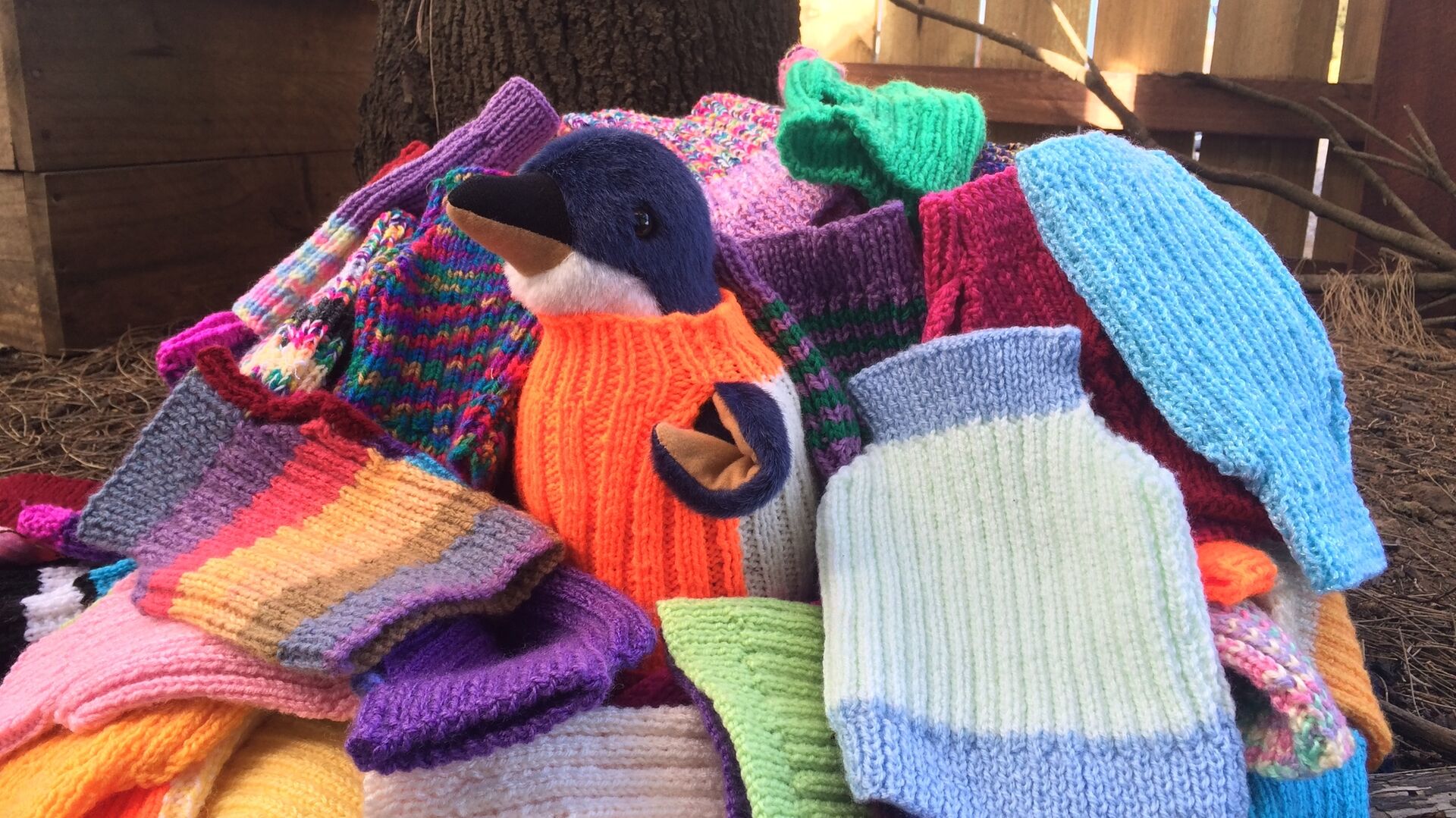 Penguin Foundation • Thanks to all the generous knitters and please ...
