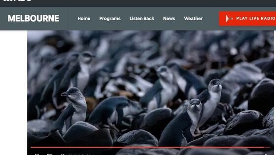 Penguin Foundation • Penguin sub-colony study